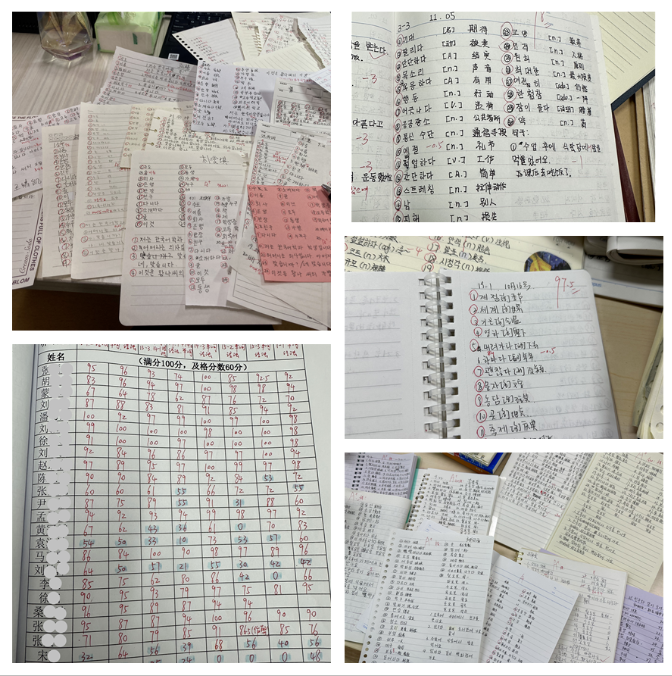 跨越语言山海，点亮求学灯塔——记韩语教师刘璐的教书育人故事-北京外国语大学留学预科【官网】|北外留学预科 | 北京外国语大学2+2留学 |（教育部）出国人员培训部